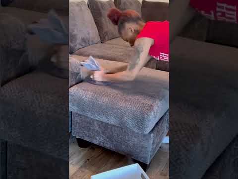 Cleaning CHEAT CODE using a tide pod, pot lid, and hand towel!!!