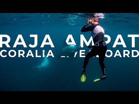Raja Ampat with Coralia Liveaboard