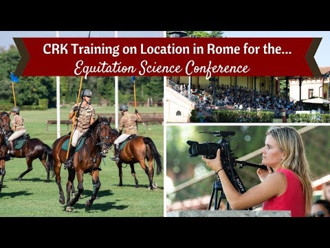 "Girthy" Horses, Lick & Chew, Rider Strength & More: Equitation Science Conference