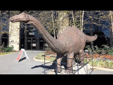 (Mis)education at the Creation Museum | Dragons, Unicorns, and Science Education