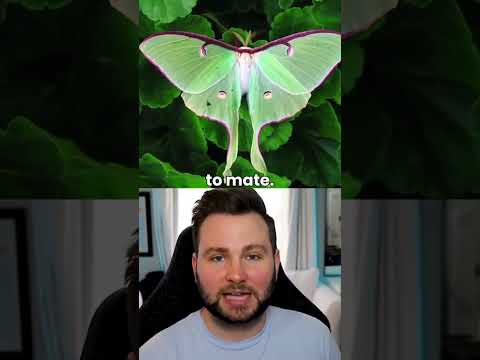 Animal facts that you didn't know before #short #shorts #facts #animals #new #scary
