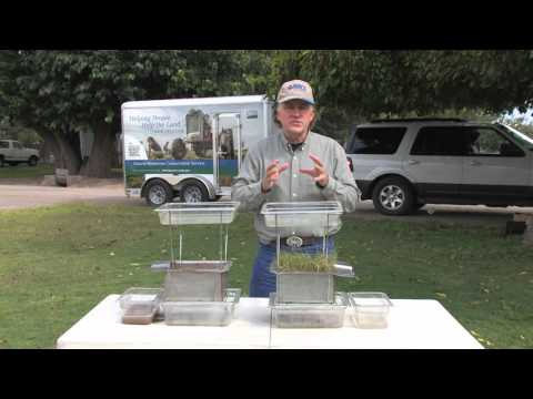 Visualizing Soil Properties: Surface Cover and Runoff