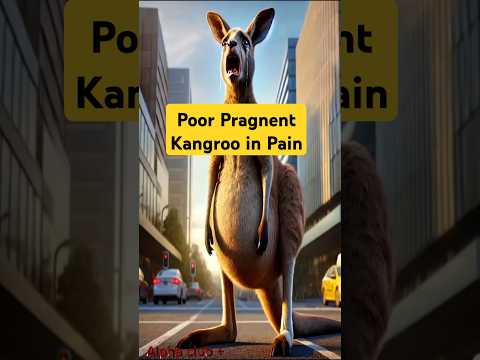 OMG😱 Mother Kangro is in Trouble #kangroo #animals #animallover #helpanimals #help #rescue