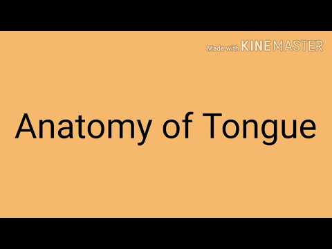 Anatomy of Tongue. Part 1#english#
