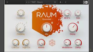 Native Instruments Raum - What To Know & Where To Buy | Equipboard