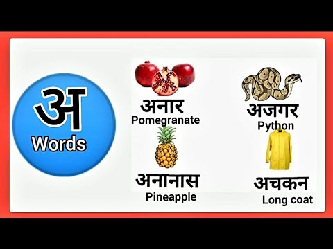 Hindi a words with pictures/ अ से बनने वाले शब्द /hindi a letter words/a words in hindi
