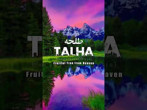 🌹Talha🌹 | Name Meaning Status ||#urduehindofficial #ytshorts #shorts #talha