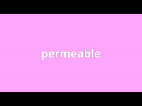 what is the meaning of permeable