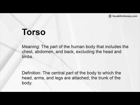 Torso Meaning