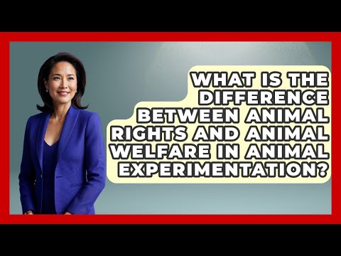 What Is The Difference Between Animal Rights And Animal Welfare In Animal Experimentation?