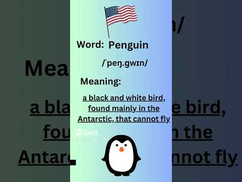 How to Pronounce Penguin in American Accent #learnenglish #learning