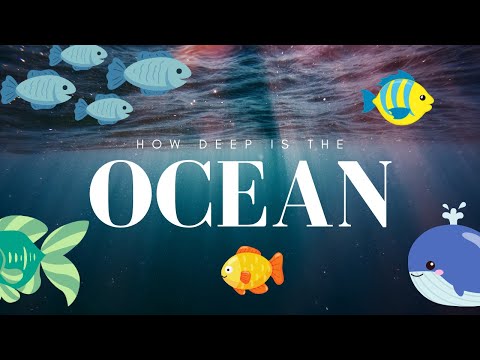 How Deep Is The Ocean: Exploring The Deep Sea
