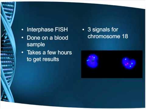 Understanding What Can Be Diagnosed by Which Genetic Test - David Flannery