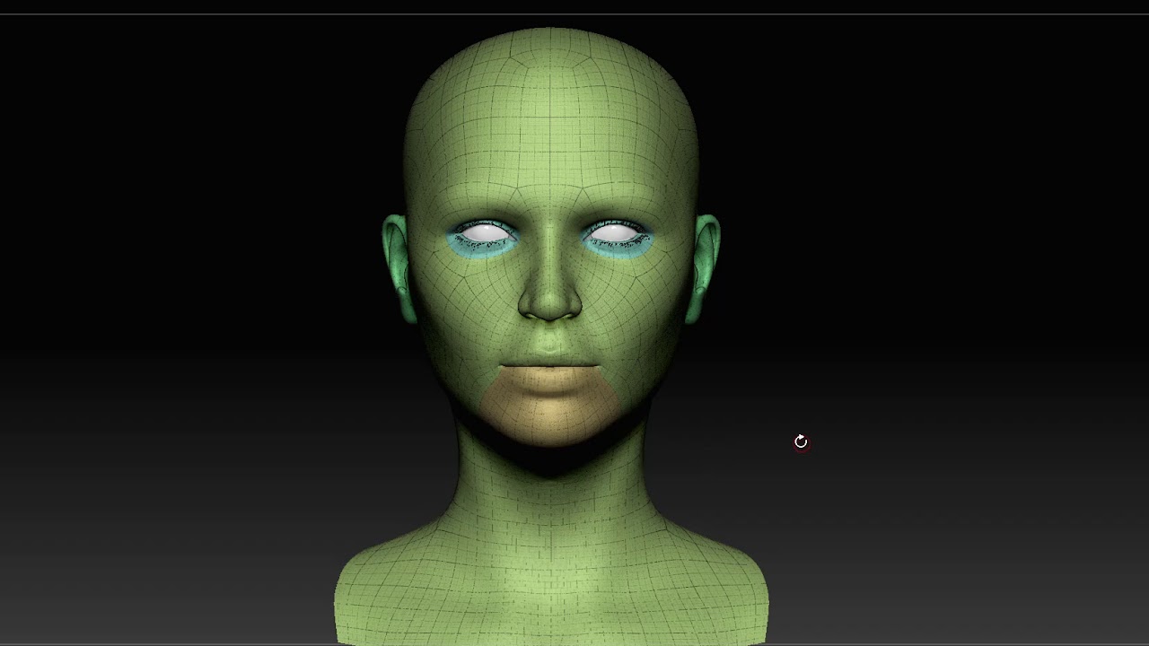 Realistic Female Head