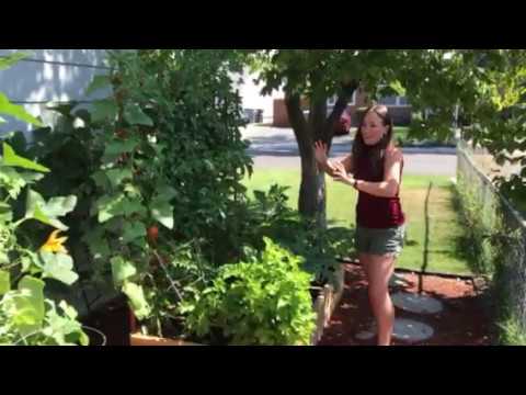Square Foot Gardener, Rosemary, shares her success and bountiful harvest from using the SFG Method.