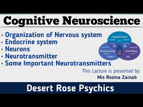 Cognitive Neuroscience in Urdu & Hindi | 03 @DesertRosePsychics