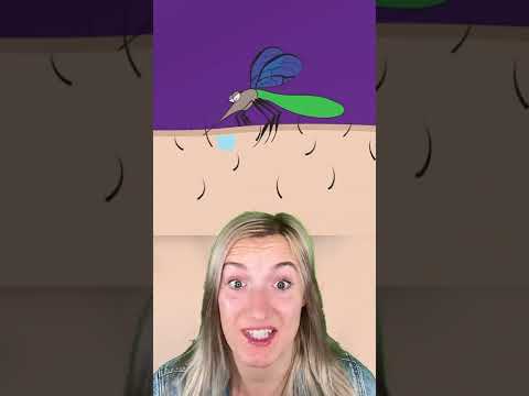 WHAT HAPPENS WHEN A MOSQUITO BITES YOU?😳