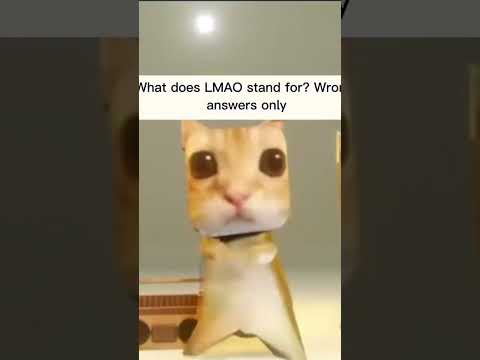 What does LMAO stand for?
