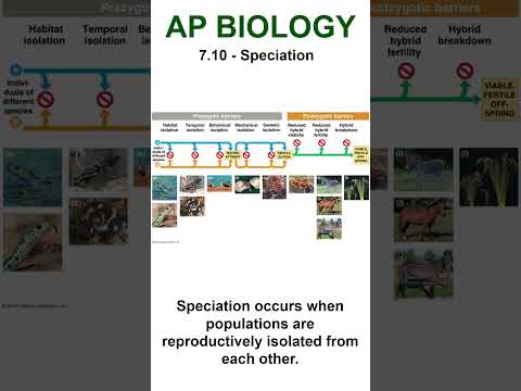 AP Bio - 7.10 Reproductive Isolation #apbiology #natural selection #apbiounit7