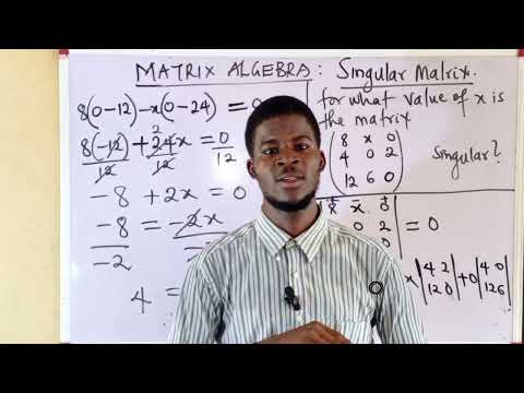 Singular Matrix