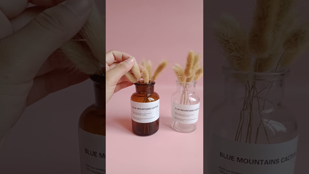 Dried Flower Lagurus Decor Vas Pot Bunga Kering Tanaman Hiasan Asli