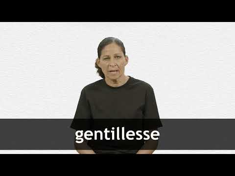 English Translation of “GENTILLESSE” | Collins French-English Dictionary