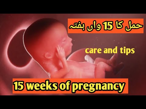 15 week of pregnancy in urdu || @TalkAboutHealth5