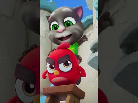 Talking Tom vs. Golden Egg ???????????? #shorts