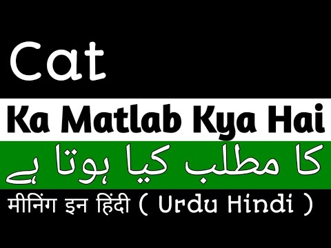 Cat Meaning In Urdu | Cat Meaning In Hindi | Cat Ka Matlab Kya Hai | Cat Ka Meaning Kya Hai