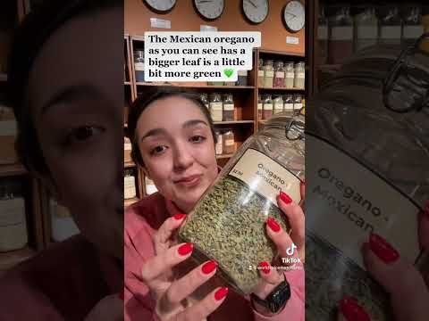Mexican Oregano: What you need to know