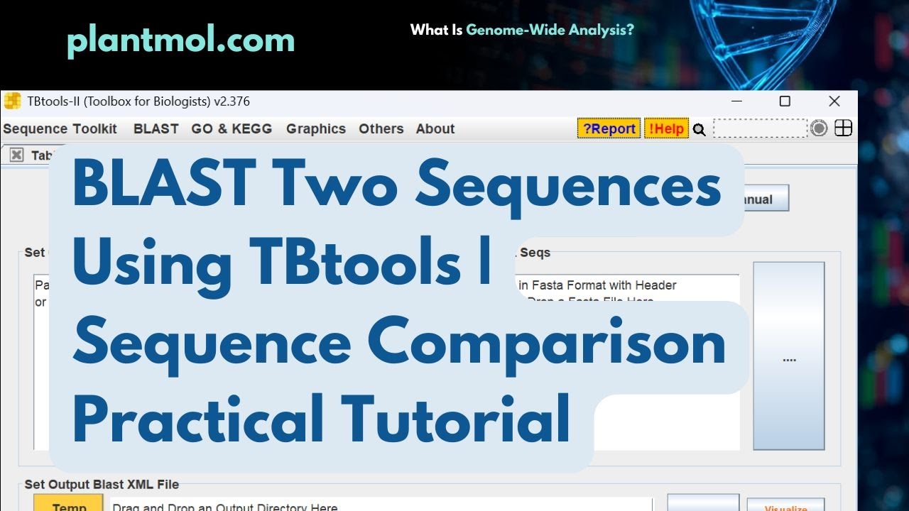 BLAST Two Sequences Using TBtools | Sequence Comparison Practical Tutorial