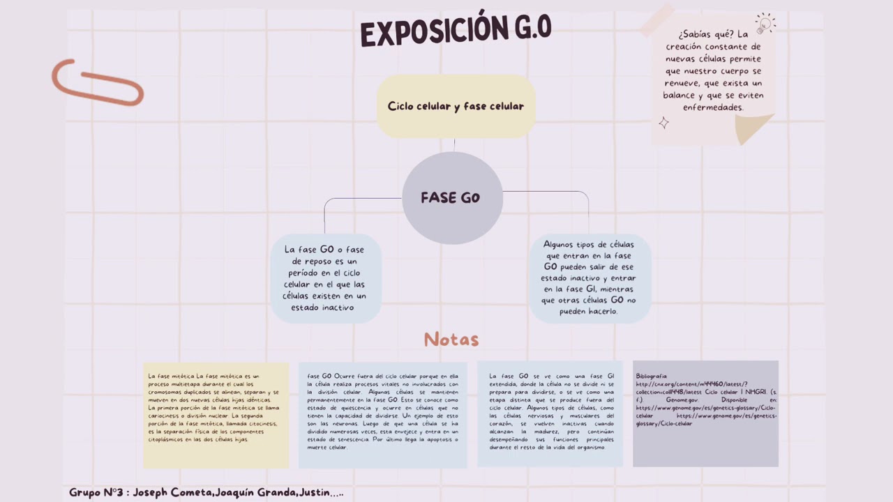 ¿Que es la fase G0?