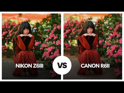 Nikon Z6 III vs Canon R6 II (blind test)