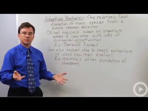 Adaptive Radiation