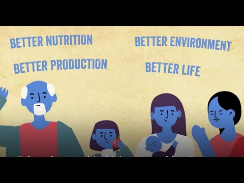 FAO’s work on food systems for nutrition