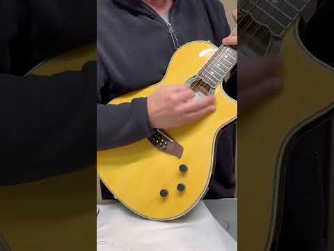 Aslin Dane Icosa 12 String thin line electric-acoustic guitar | Reverb