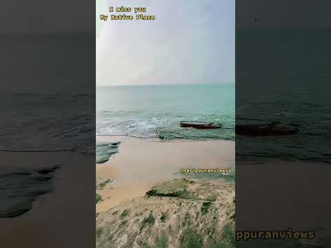 I miss you my native place #tamil #lifestyle #motivation #narippaiyur#narippuranviews#shorts