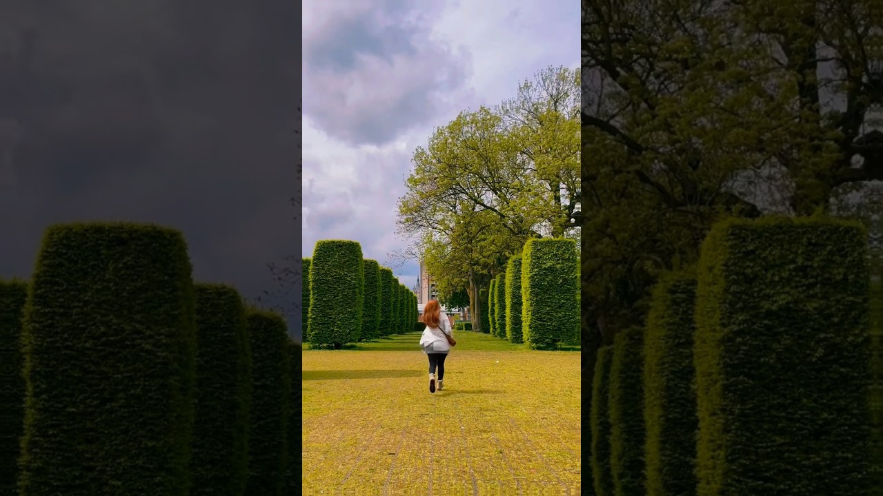 ST BAVO’S ABBEY #ghent #europe #solotraveler #ruins