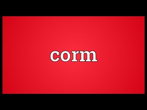 Corm Meaning