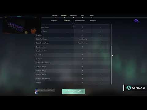 ACE cNed valorant settings