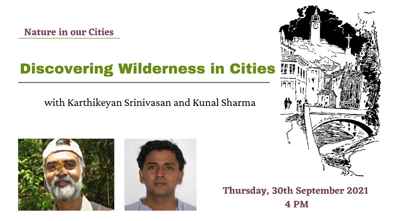 Discovering wilderness in the Cities