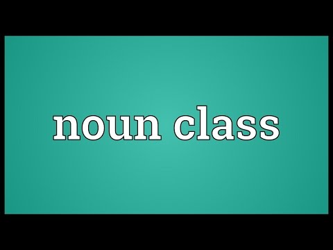 Noun class Meaning
