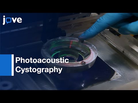 Photoacoustic Cystography l Protocol Preview