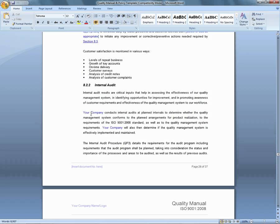 ISO 9001 Quality Manual Template demonstration
