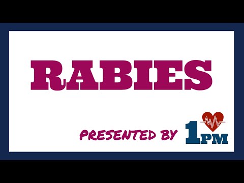 Rabies - Symptoms, treatment