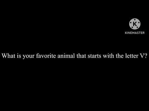 What is Your Favorite Animal That Starts With the Letter V?