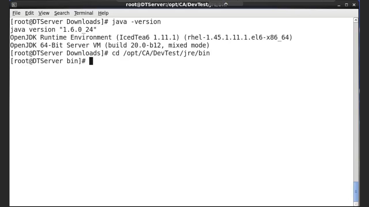 Checking Linux Java Version for DevTest Solutions 10.0
