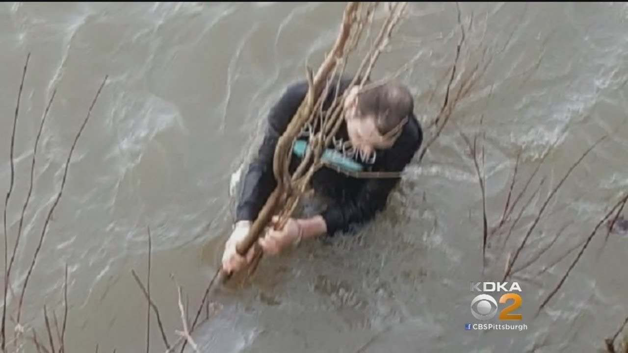 'Ham-Burglar' Jumps Into River In Attempt To Escape Arrest