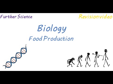 B3: Food Production (Revision)
