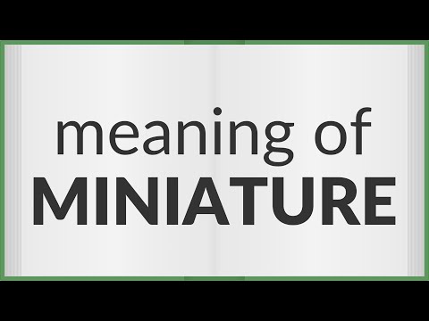 Miniature | meaning of Miniature
